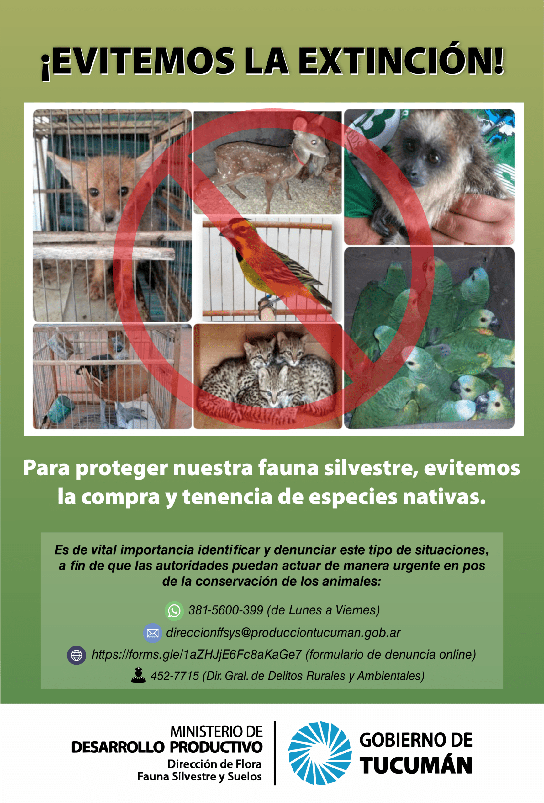 EN 2021 SE REALIZARON ALREDEDOR DE 500 RESCATES DE FAUNA SILVESTRE ...