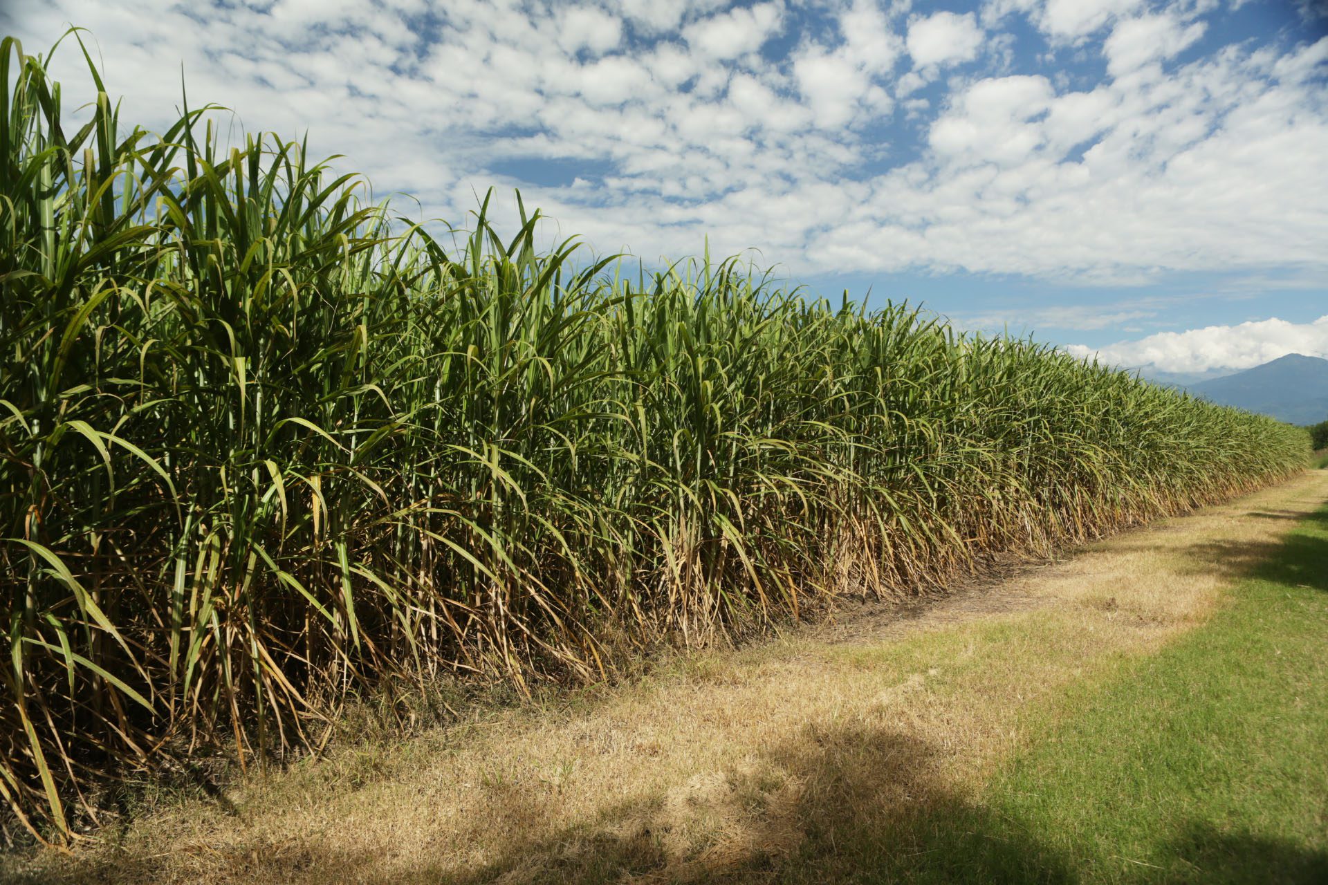 PRESENTAN EL CICLO DE CONFERENCIAS DEL IPAAT: “INDUSTRIA ...